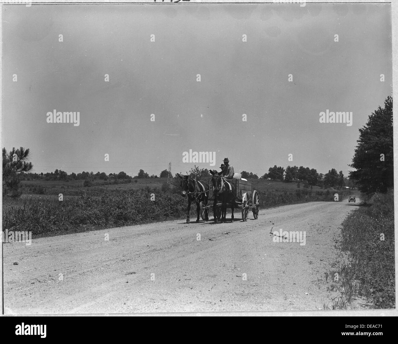 Scenes from a rural road in Coosa Valley, Alabama, depict the tranquil ...