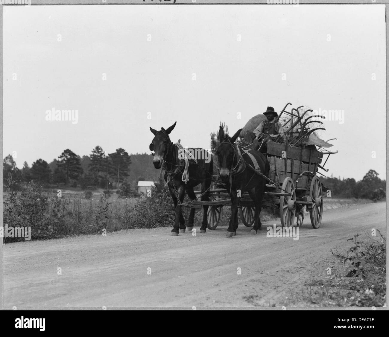 This photograph shows a tenant moving off a government reservation in ...