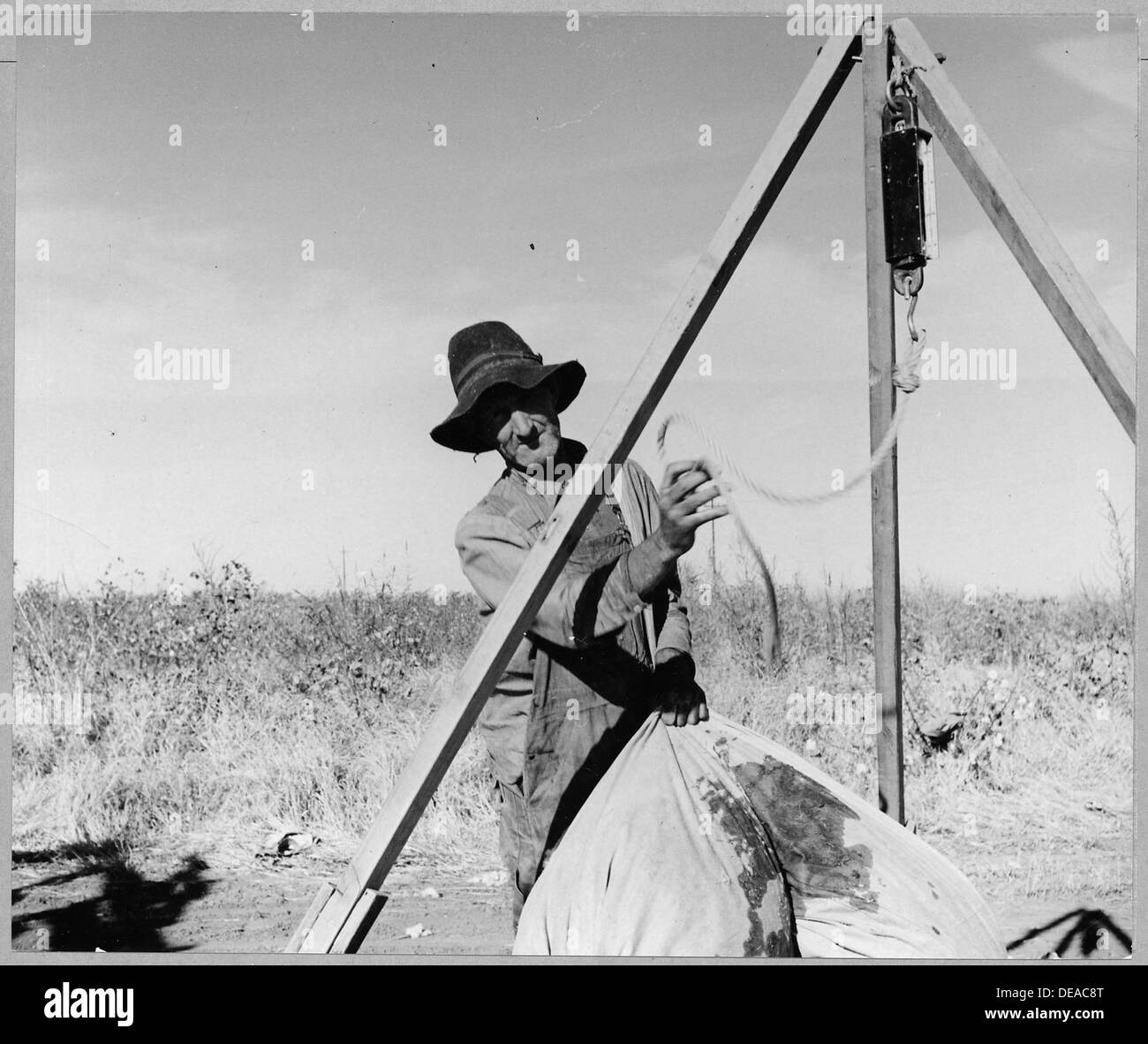 Cotton pick sack hi-res stock photography and images - Alamy
