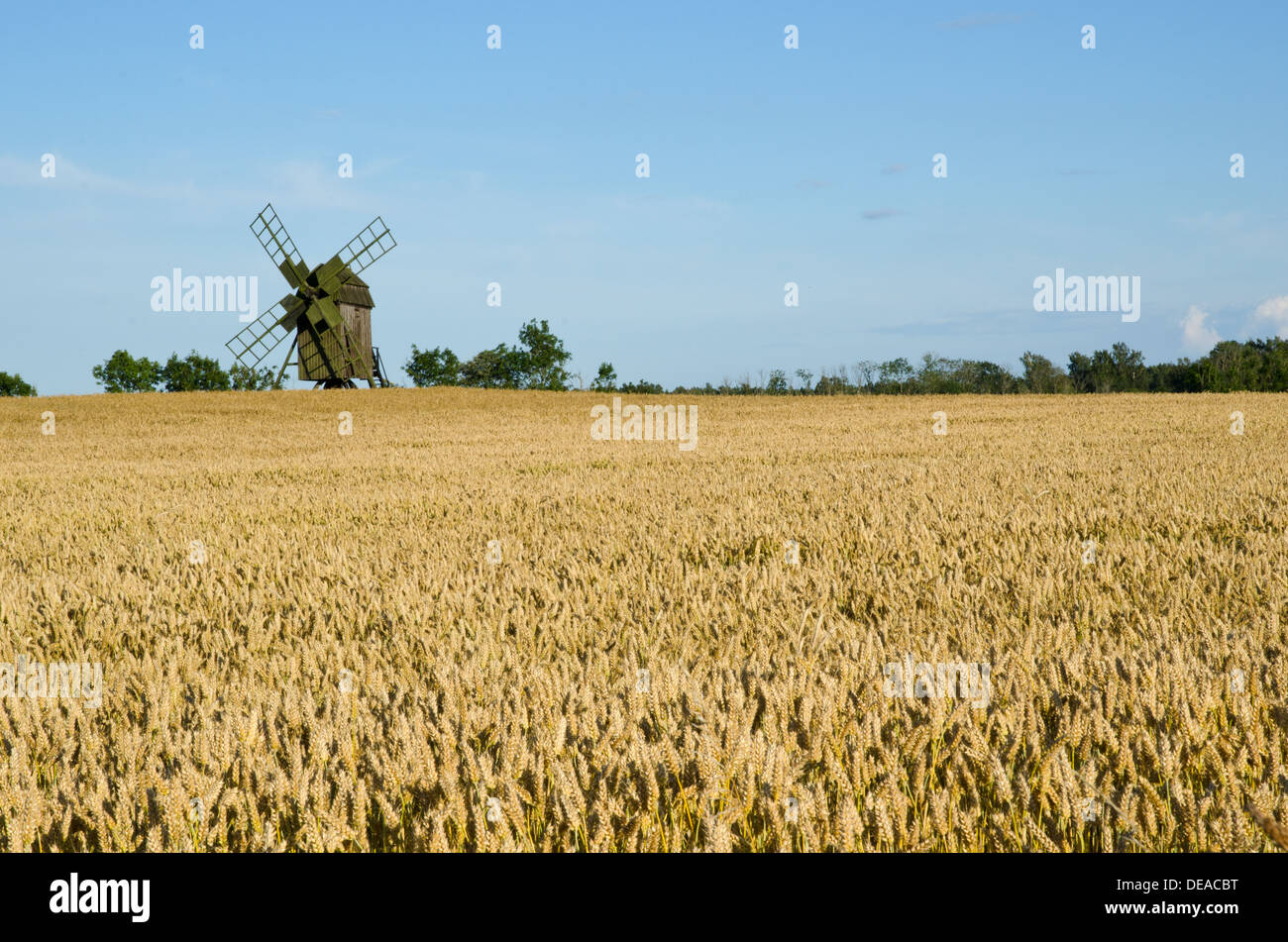 Windmill wheat field hi-res stock photography and images - Alamy