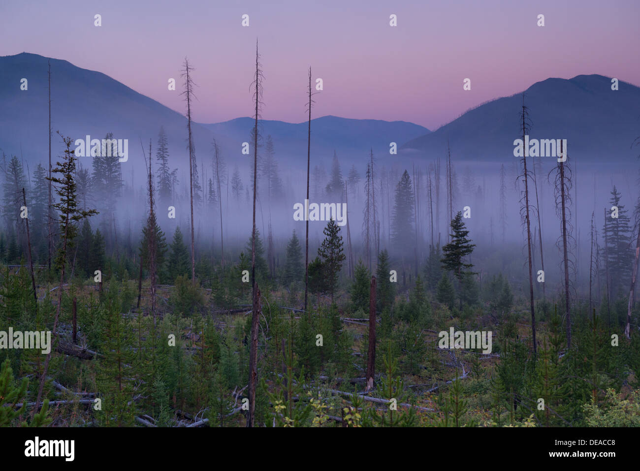 Apgar mountain range hi-res stock photography and images - Alamy