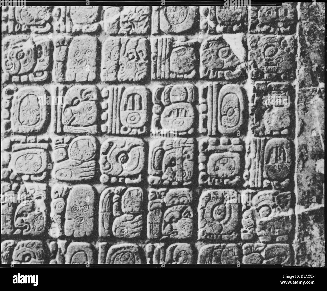 This is a detail from a cast of a wall panel from the Temple of the ...