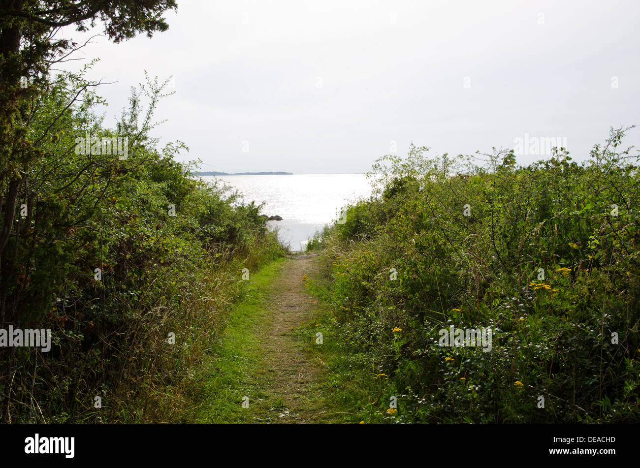 Footpath to the beach hi-res stock photography and images - Alamy