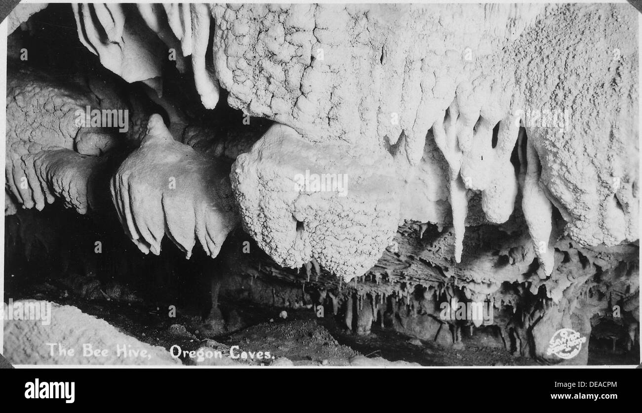 Illumination features Black and White Stock Photos & Images - Alamy