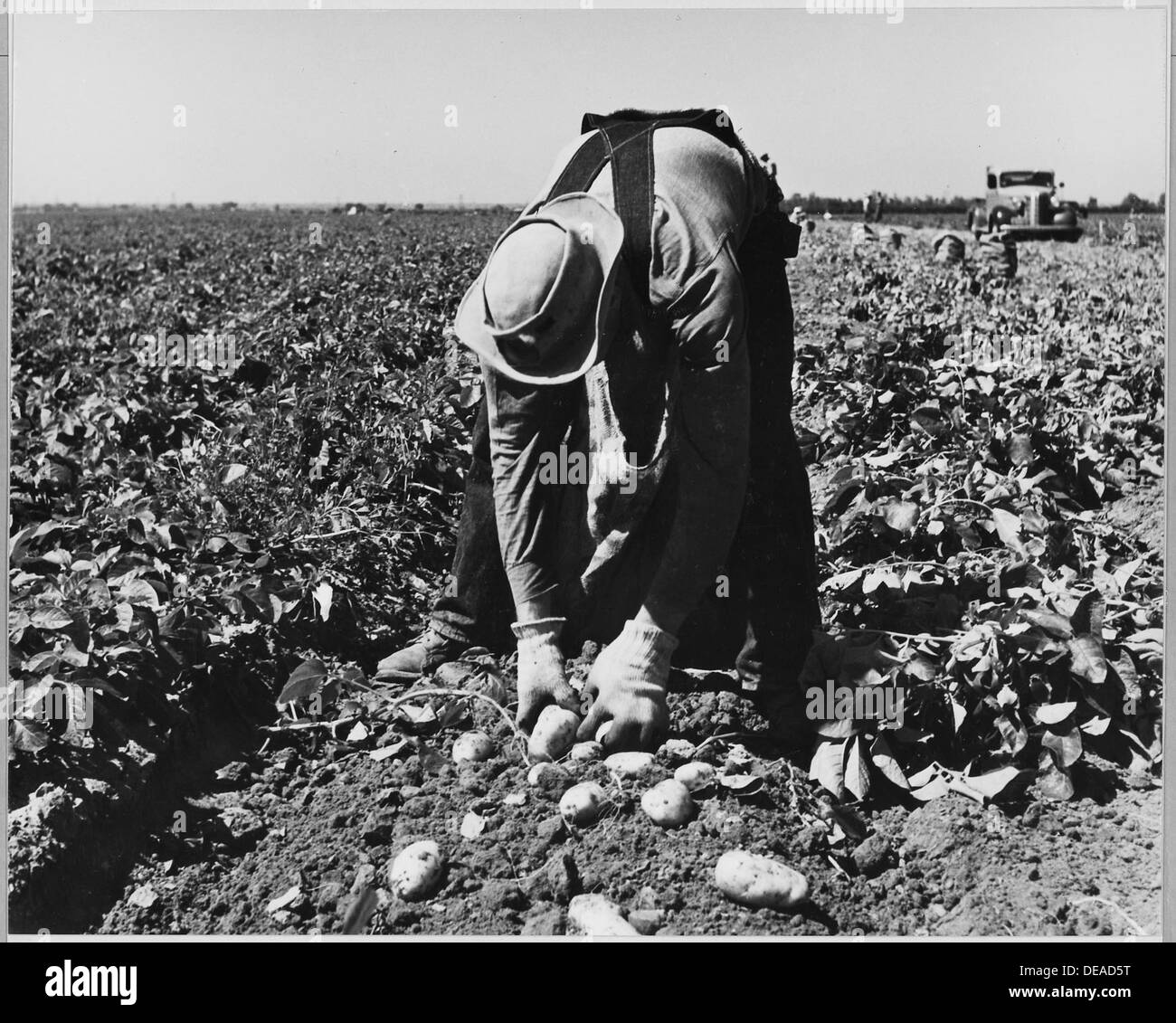 17 workers Black and White Stock Photos & Images - Alamy