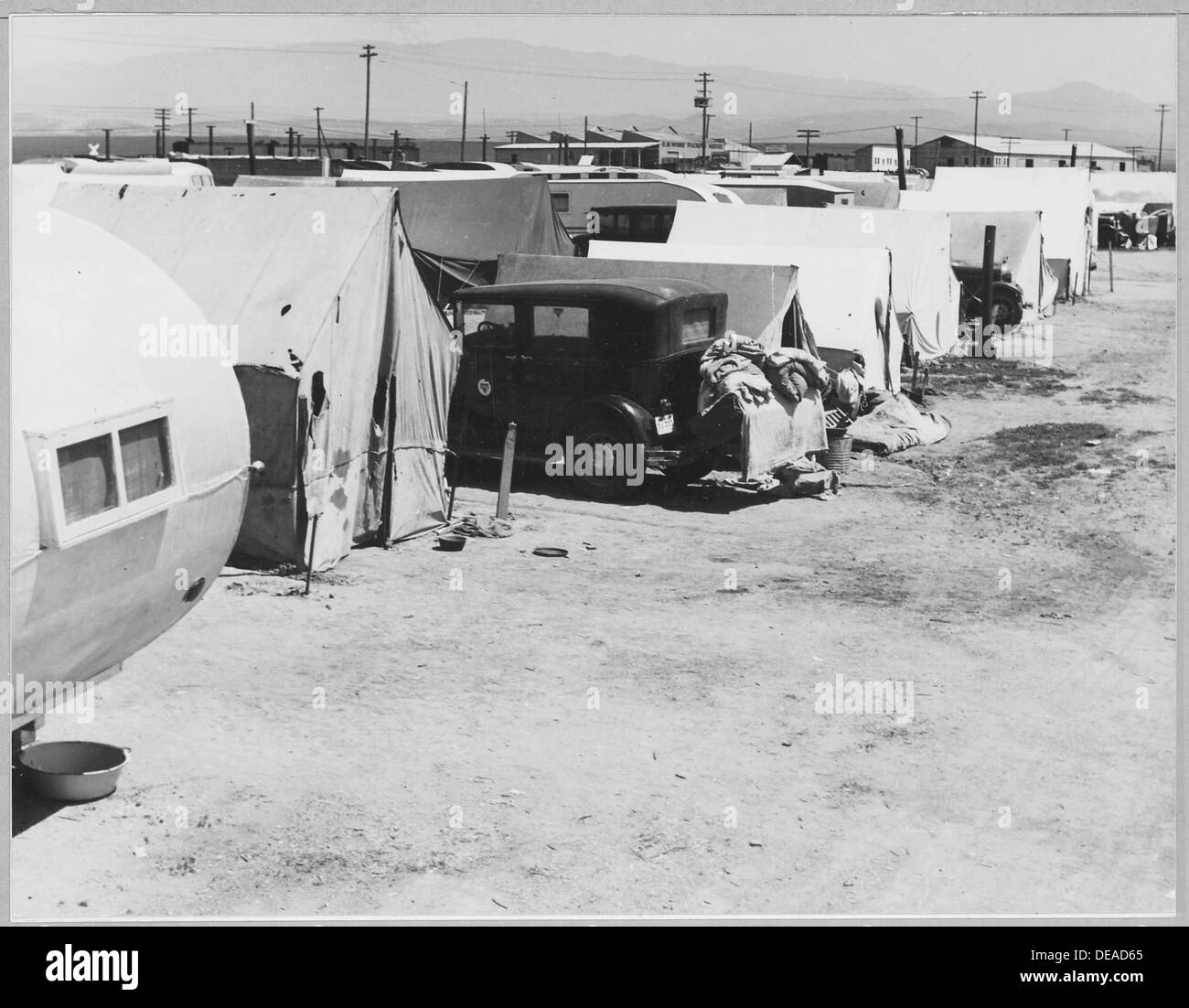 A close-up photograph of a potato camp in Edison, Kern County ...