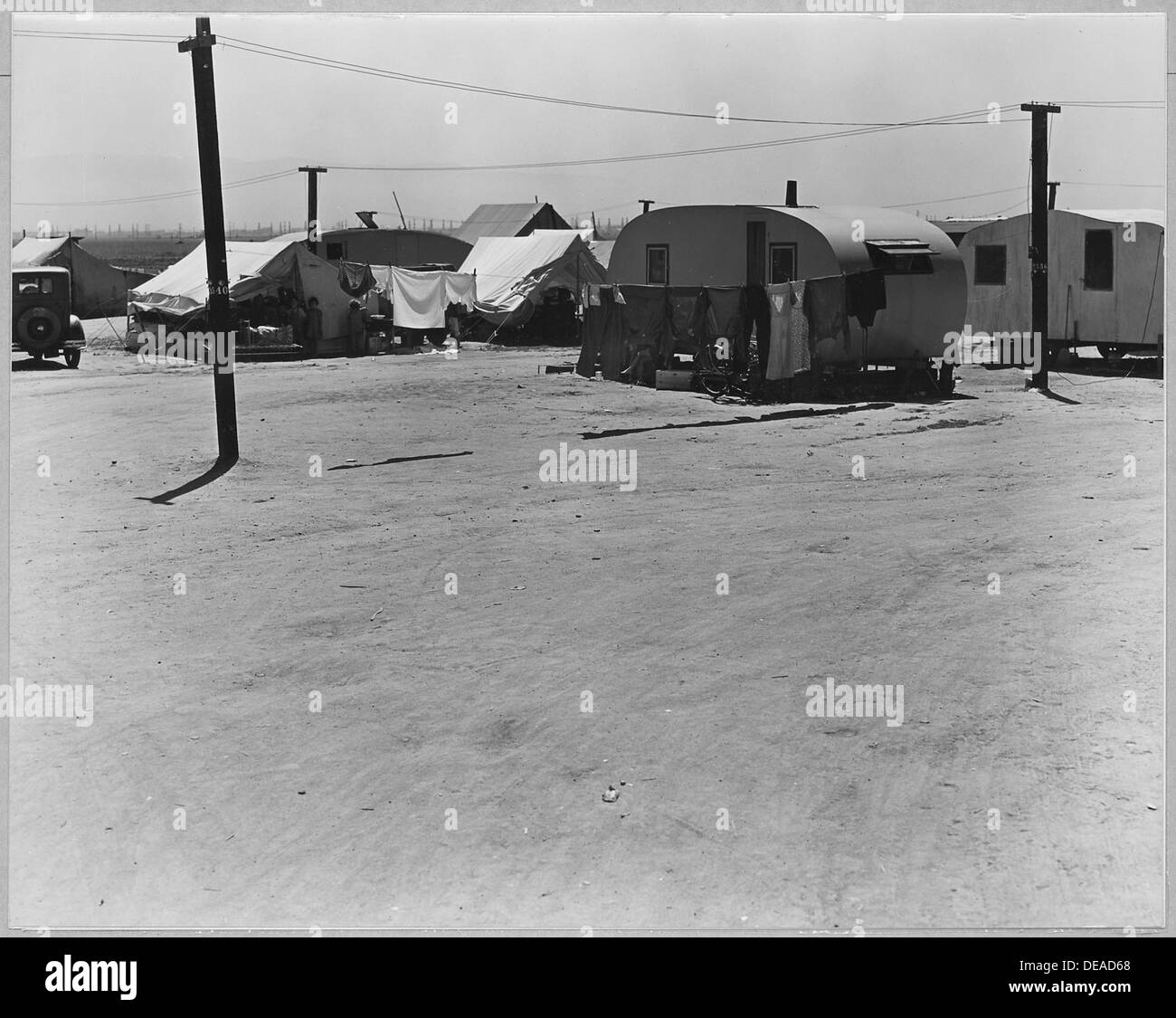 This image depicts a close-up view of a potato camp in Edison, located ...