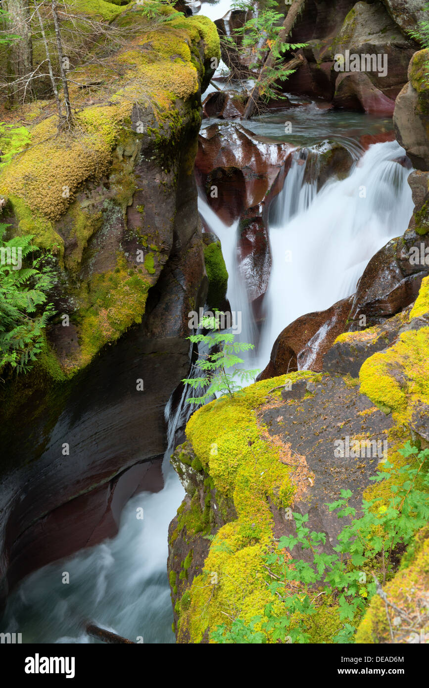 Photograph of a waterfall surrounded by a lush green northwestern rain ...