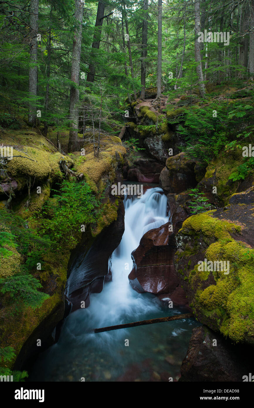 Photograph of a waterfall surrounded by a lush green northwestern rain ...
