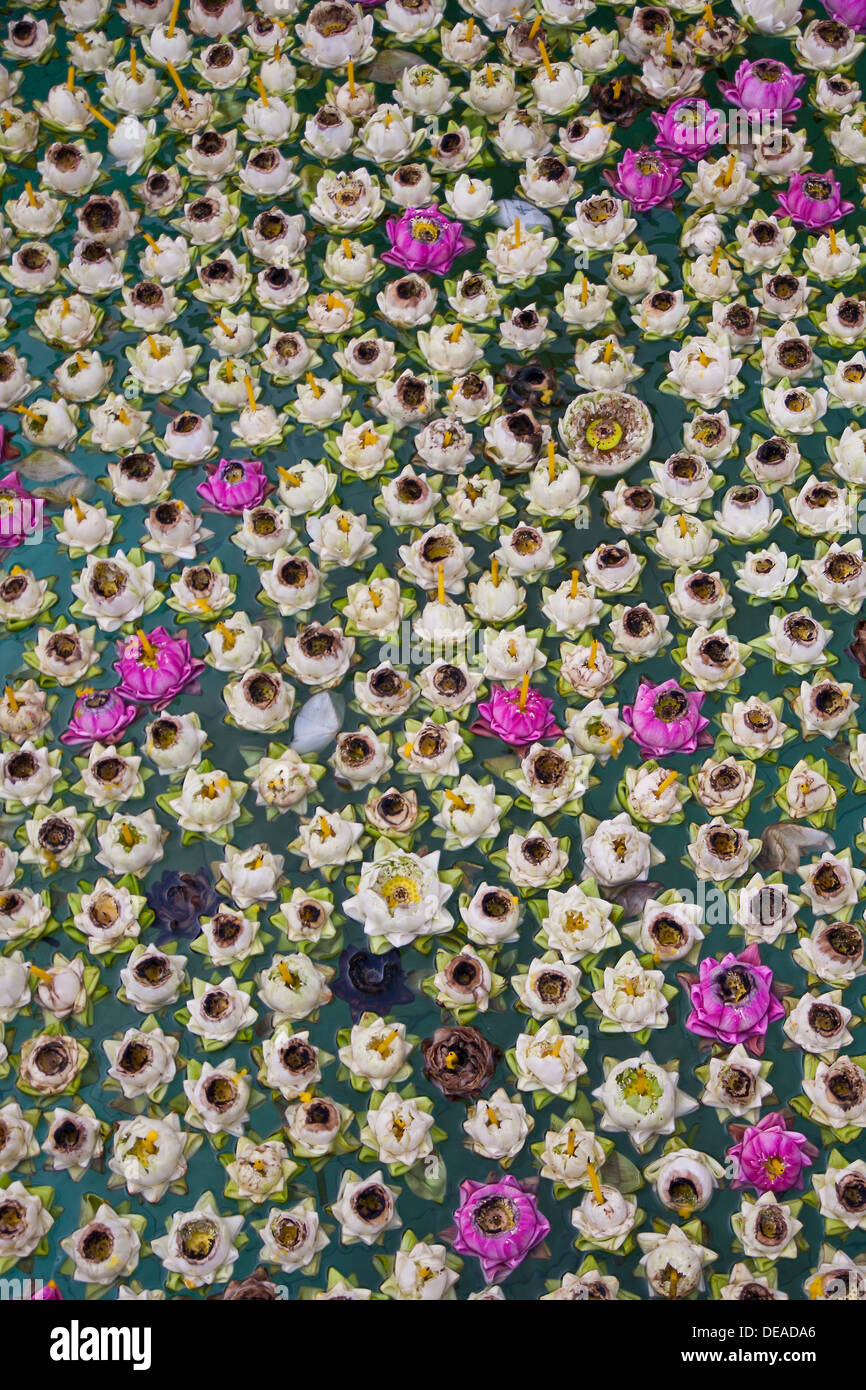 Bright Flower Tumblr Backgrounds