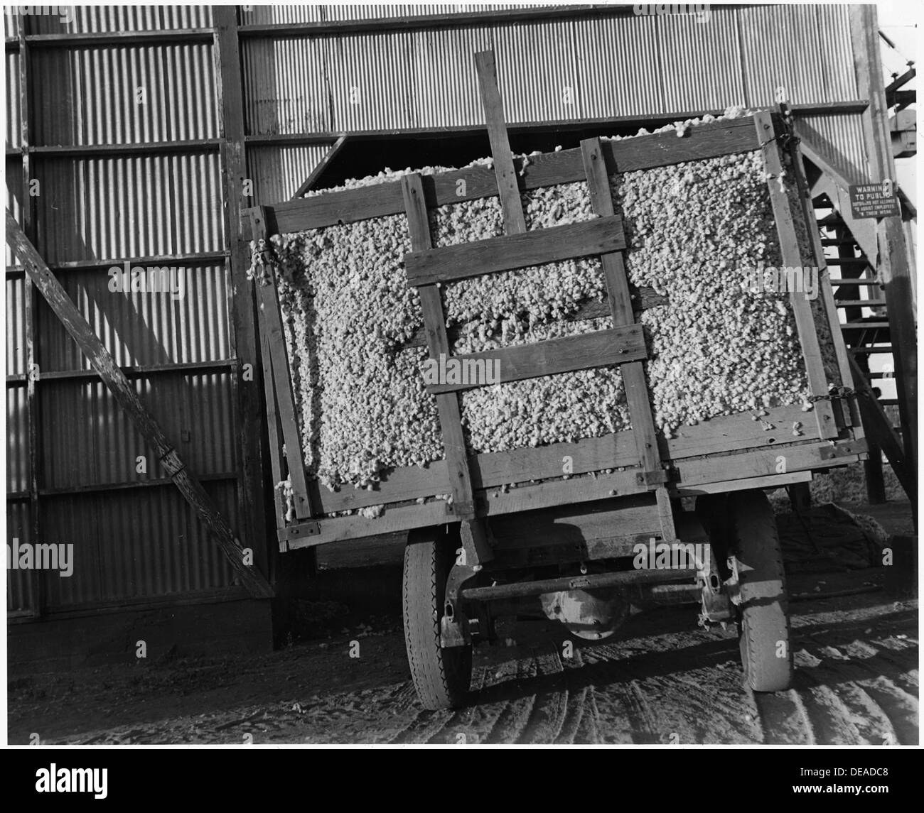 A cotton wagon arrives at the ginyard in Eloy District, Pinal County ...