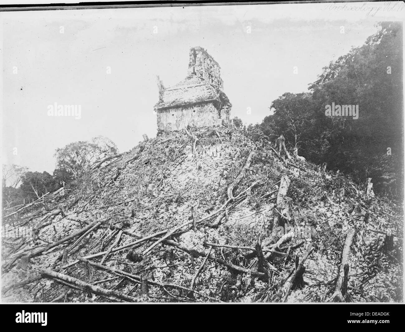 Fallen monolith on south slope of Temple of the Cross, Palenque, Mexico ...
