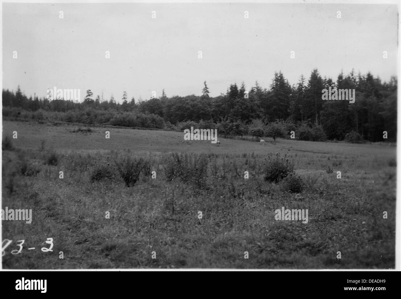 This image shows a southeast view of a field on Parcel 127, owned by C ...