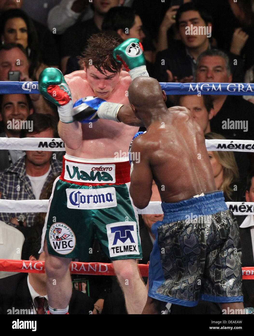 Canelo Vs Mayweather
