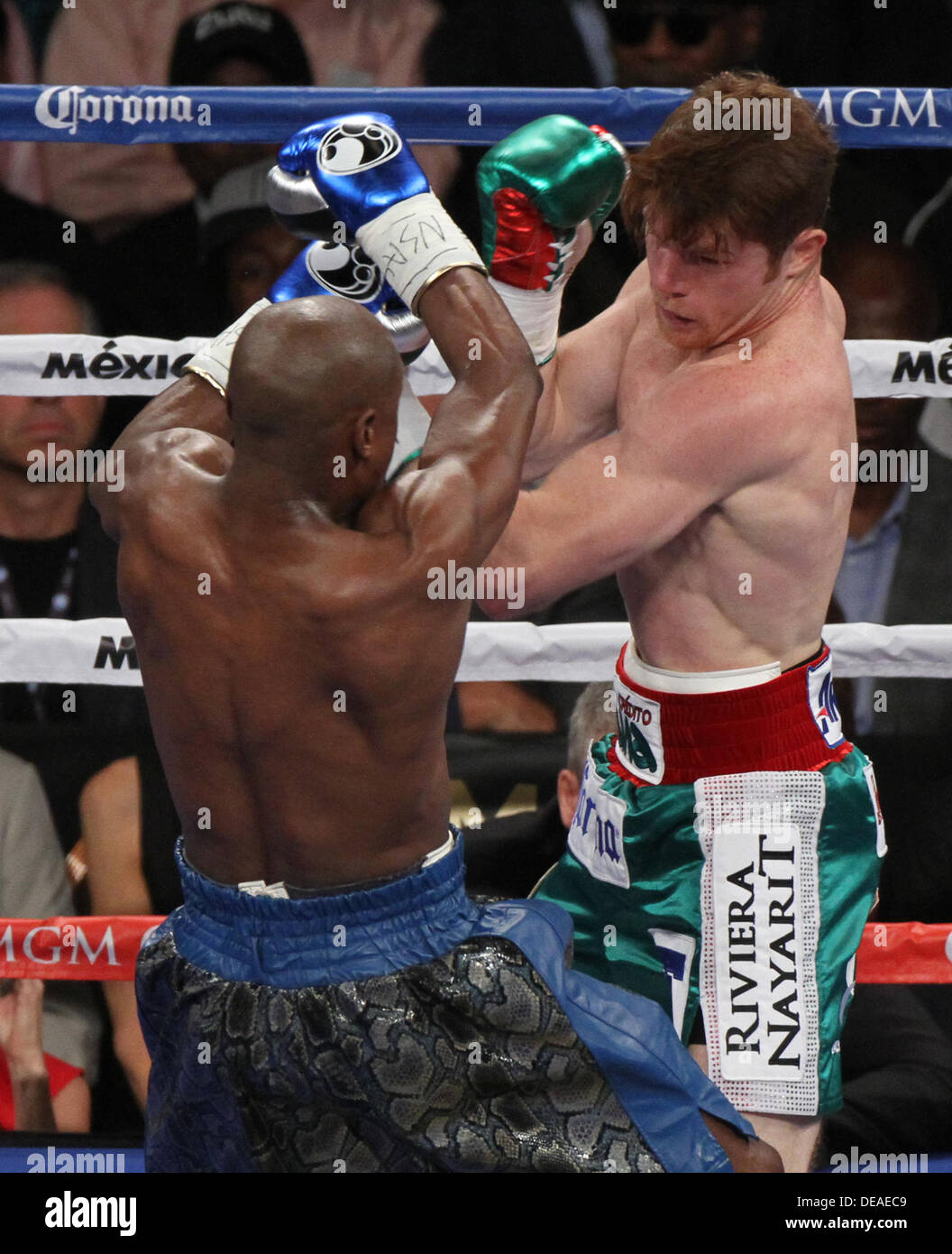 Saul canelo alvarez world title hi-res stock photography and images - Alamy