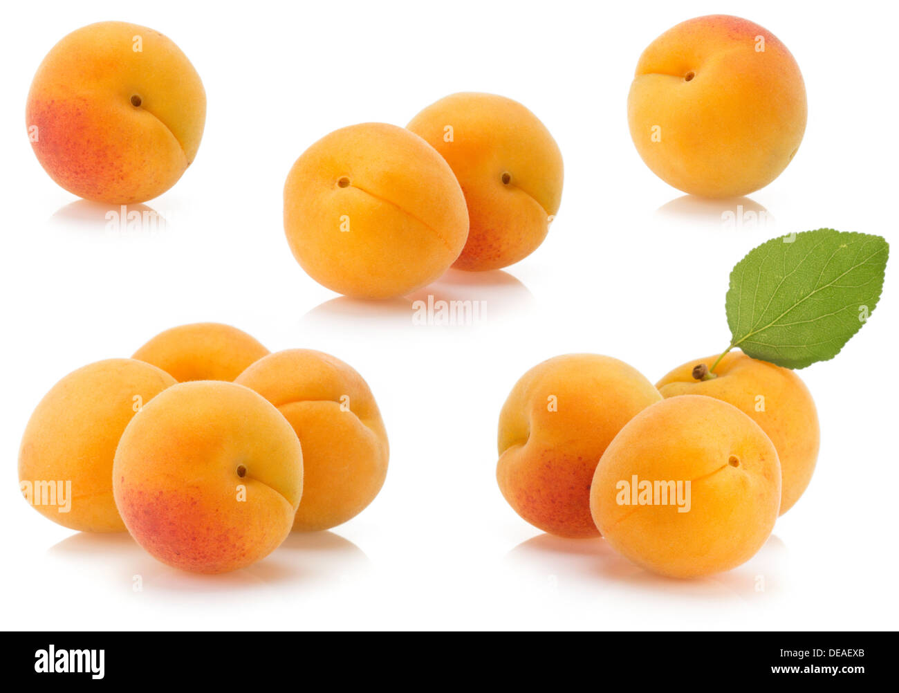 apricot fruit isolated on white background Stock Photo - Alamy