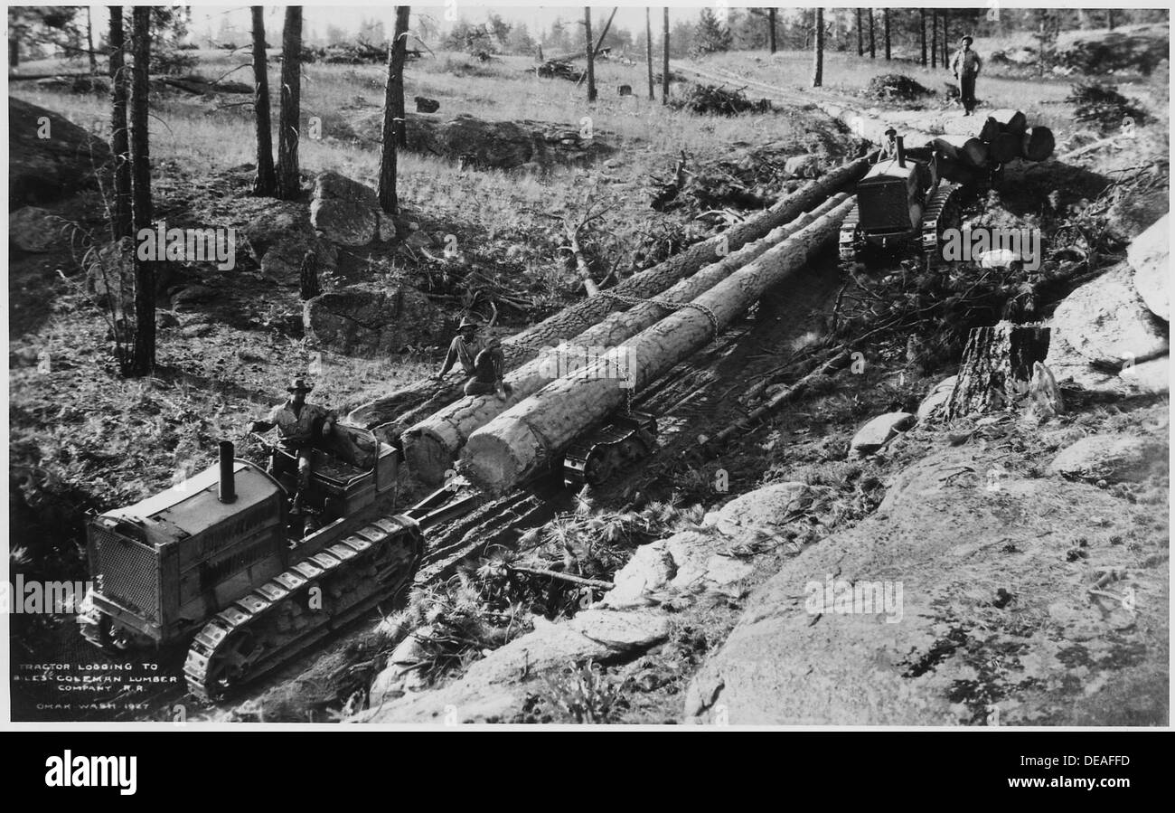 A Ladd photo depicts ten-ton Holt tractors skidding tree-length logs ...