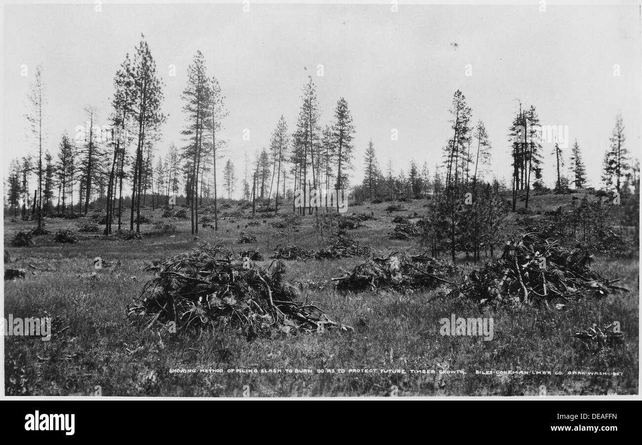 Hand piled Black and White Stock Photos & Images - Alamy