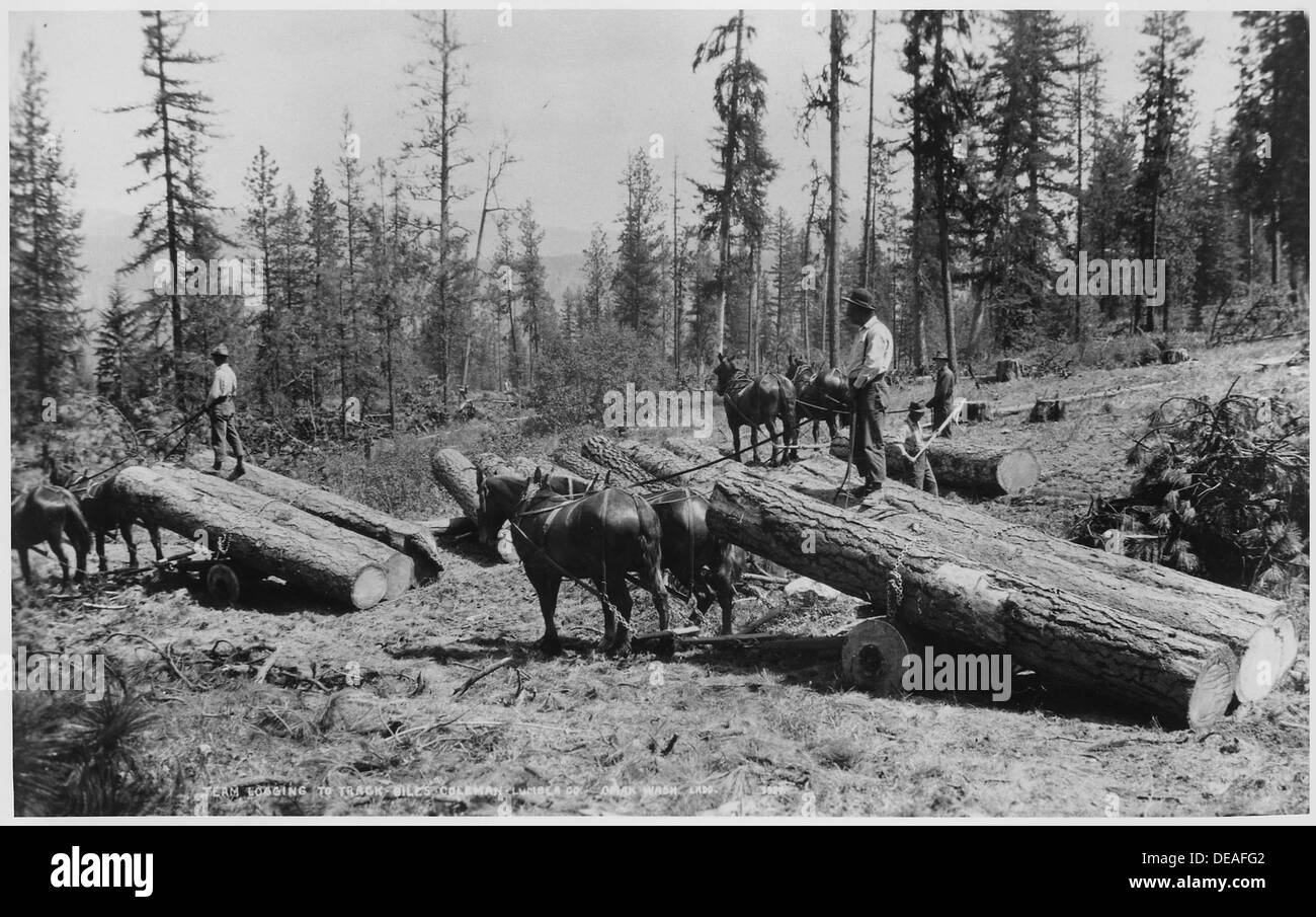 Horse powered tools hi-res stock photography and images - Alamy
