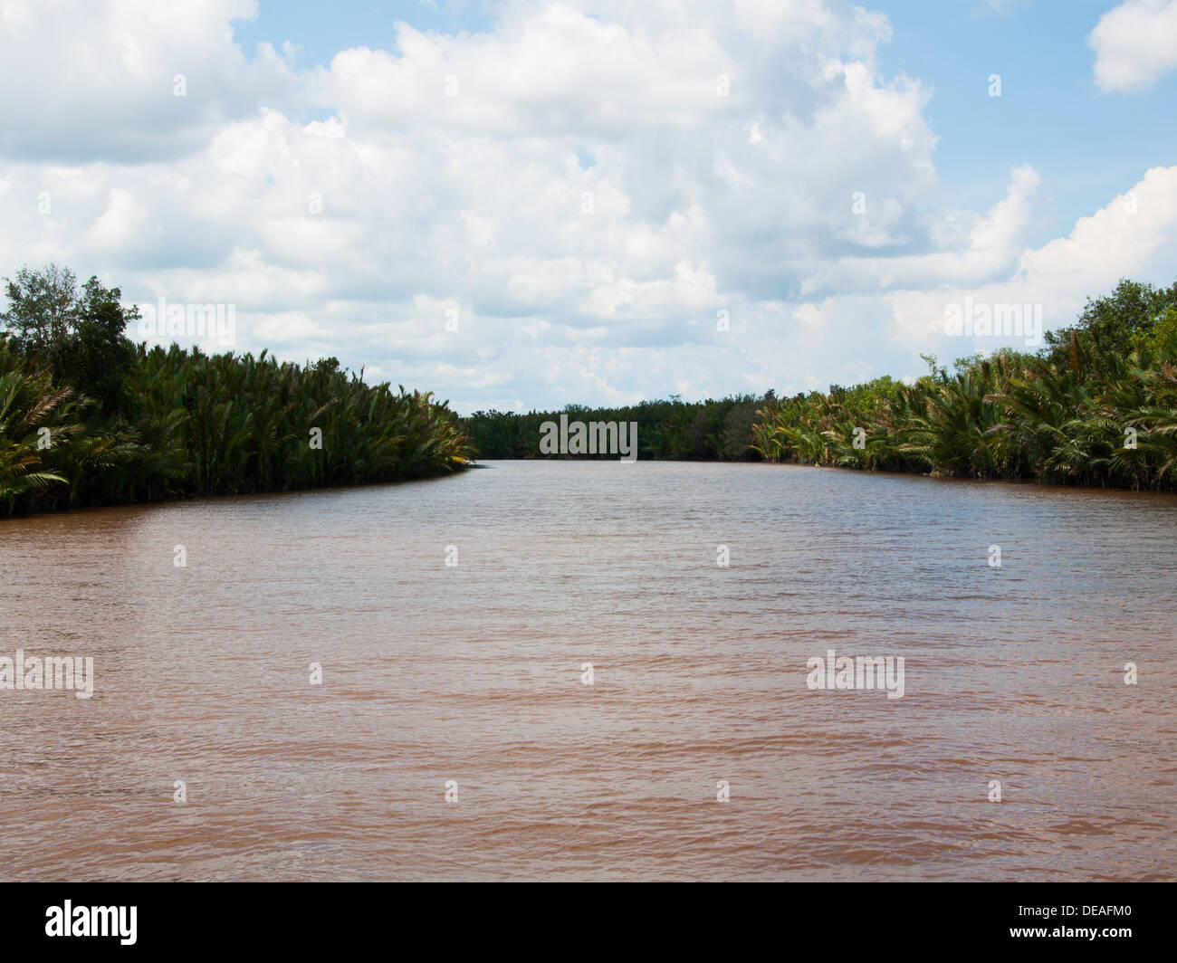 Kumai river river boat hi-res stock photography and images - Alamy