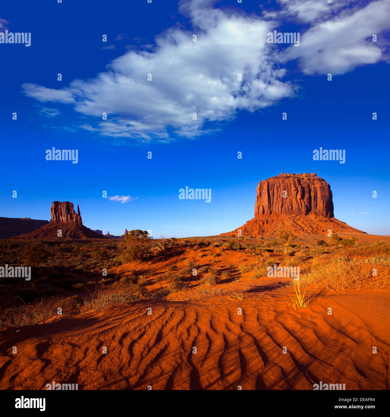 Monument Valley West Mitten and Merrick Butte desert sand dunes Utah ...
