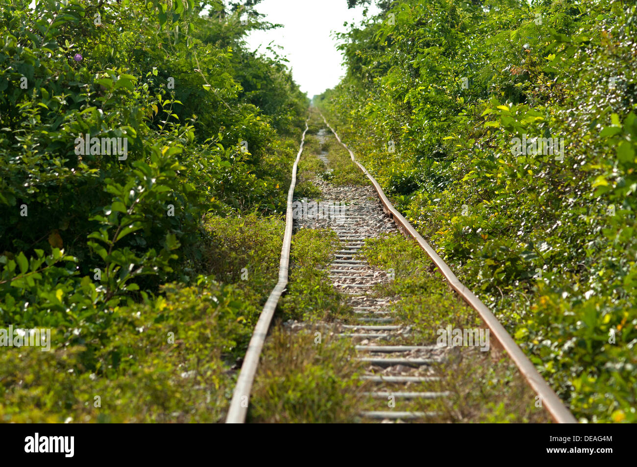 Deformed railway tracks of the disused rail link between Phnom Penh and ...