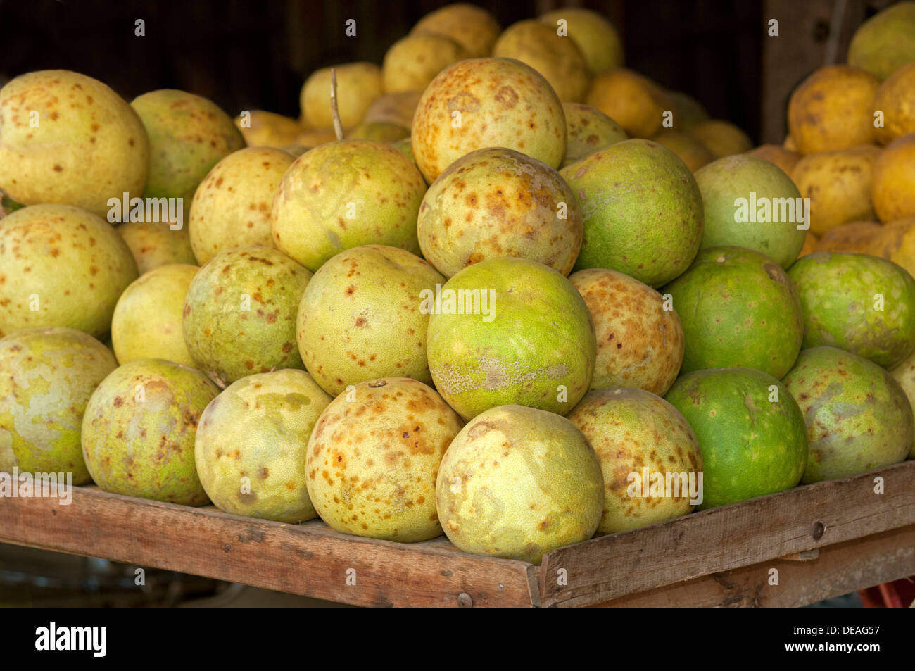 Pomelo High Resolution Stock Photography and Images - Alamy