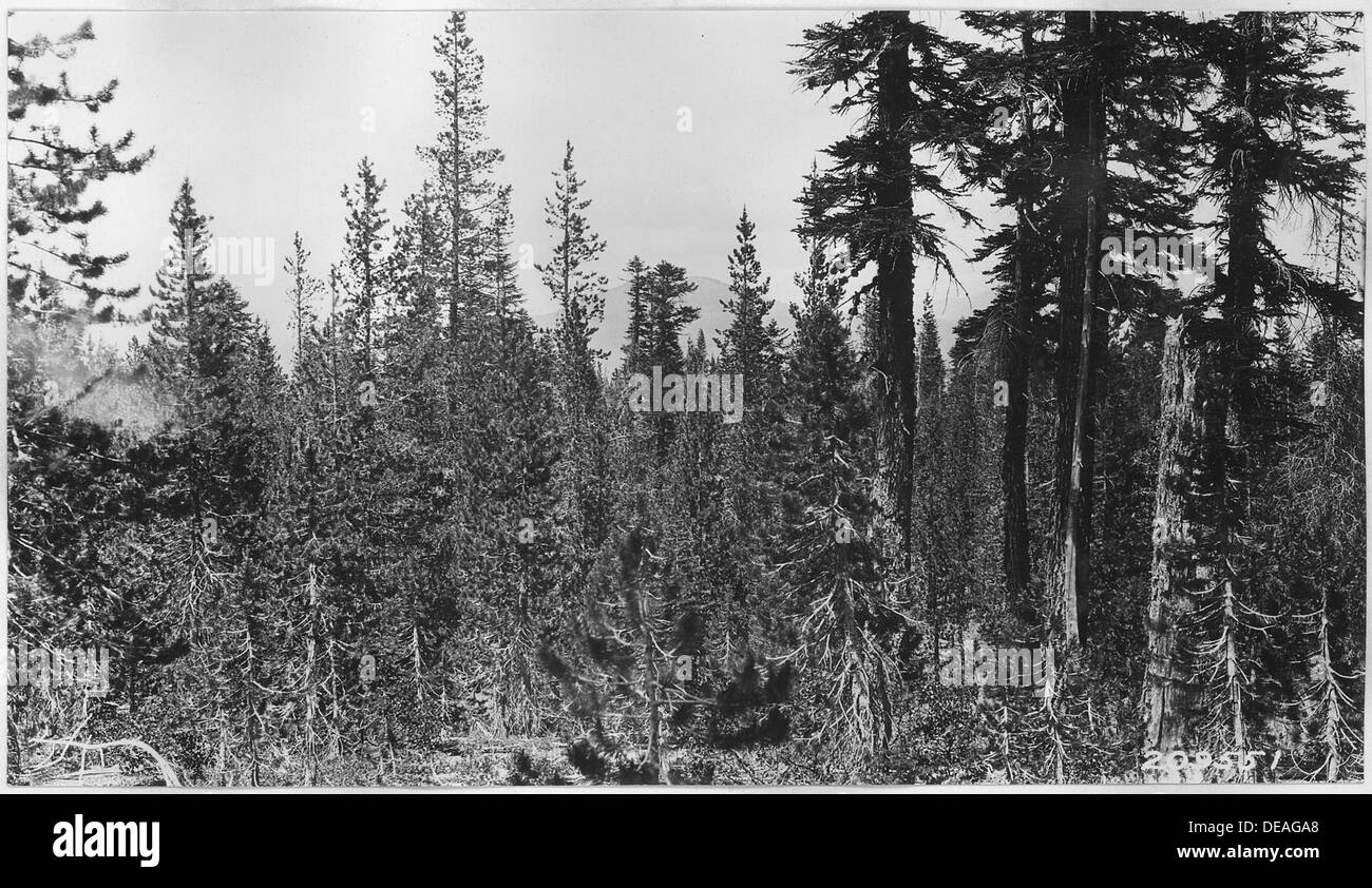 Taken in south dakota Black and White Stock Photos & Images - Alamy