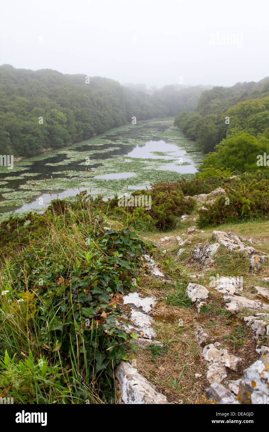 Bosherston nature reserves national trust hi-res stock photography and ...