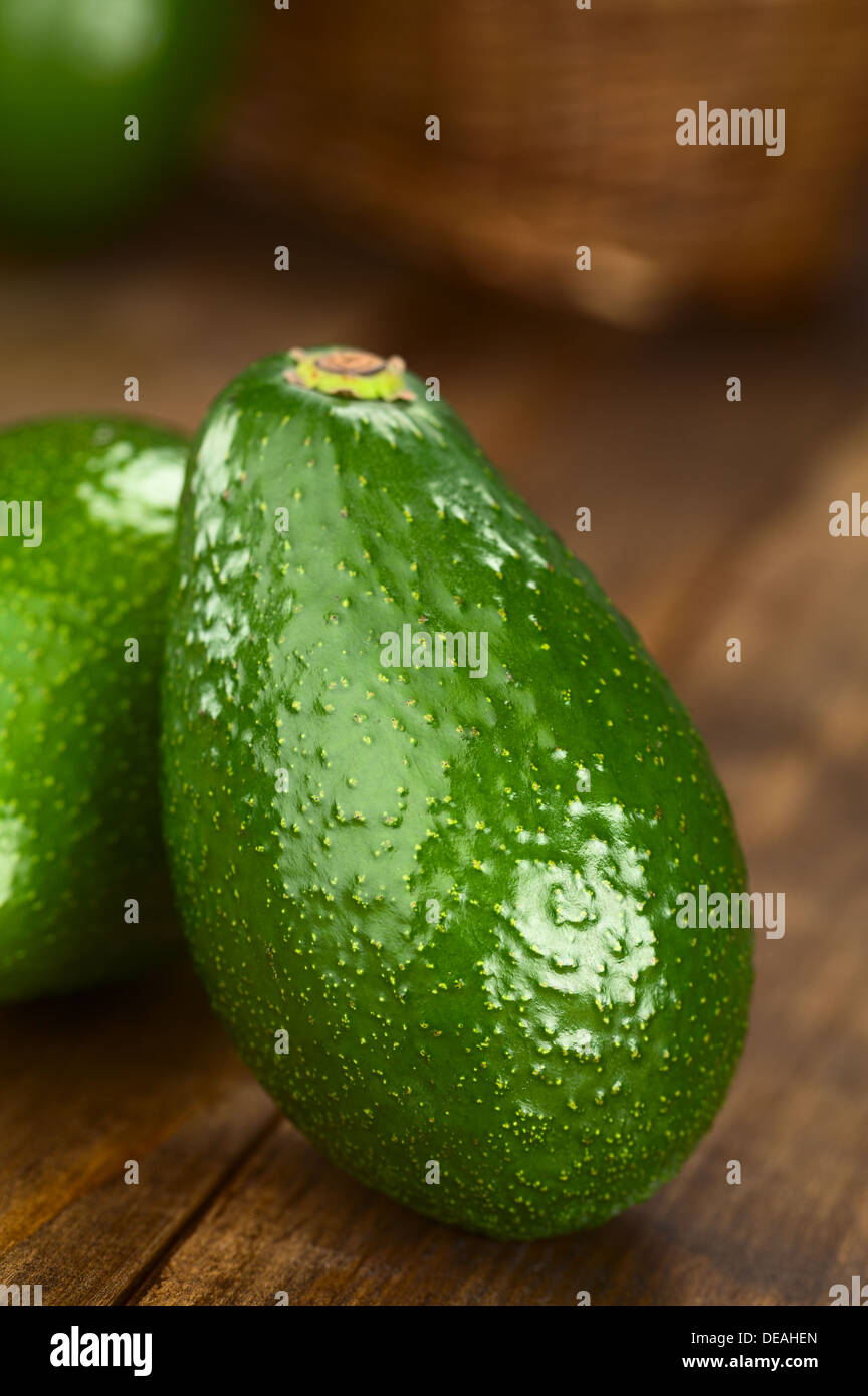 Fuerte Avocado Stock Photos & Fuerte Avocado Stock Images - Alamy