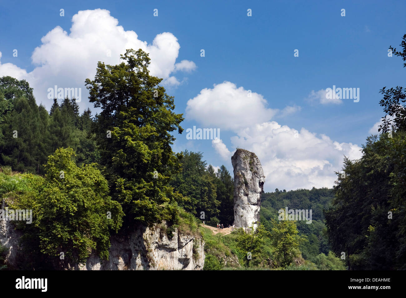 Maczuga Herkulesa stone, Ojcowski National Park, Poland, Europe Stock ...