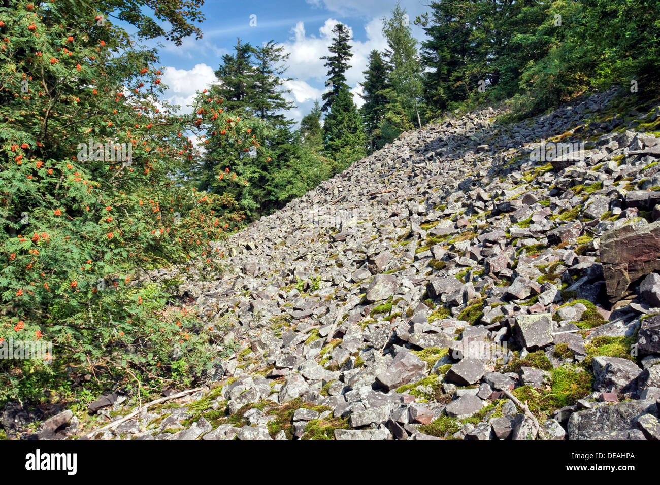 Boulder field on the Lysica peak, Swiety Krzys, Holy Cross Mountains ...