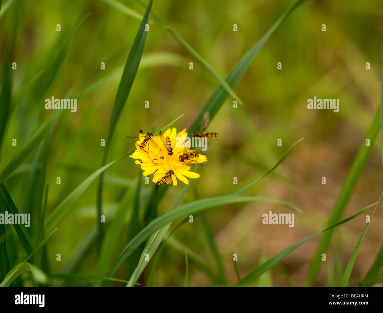 All Four One Stock Photo - Alamy