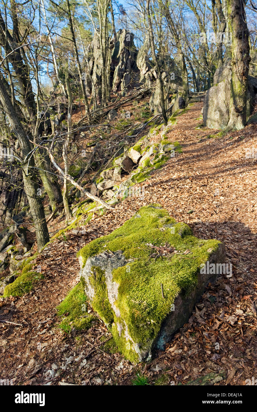 Babi Lom Nature Reserve, Southern Moravia, Czech Republic, Europe Stock ...