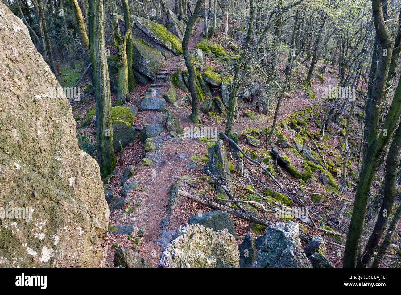 Babi Lom Nature Reserve, Southern Moravia, Czech Republic, Europe Stock ...