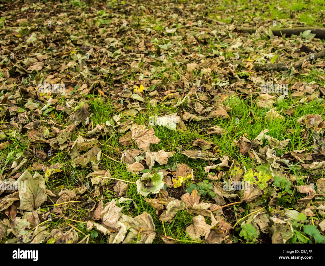 Seasonal cycles hi-res stock photography and images - Alamy