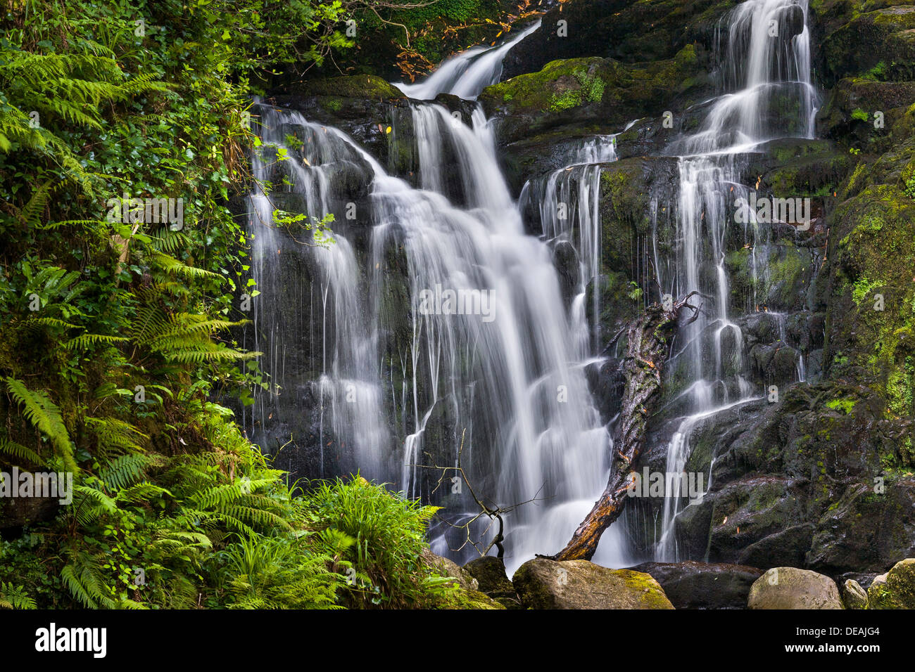Torc Waterfall, Killarney National Park, Killarney, County Kerry ...