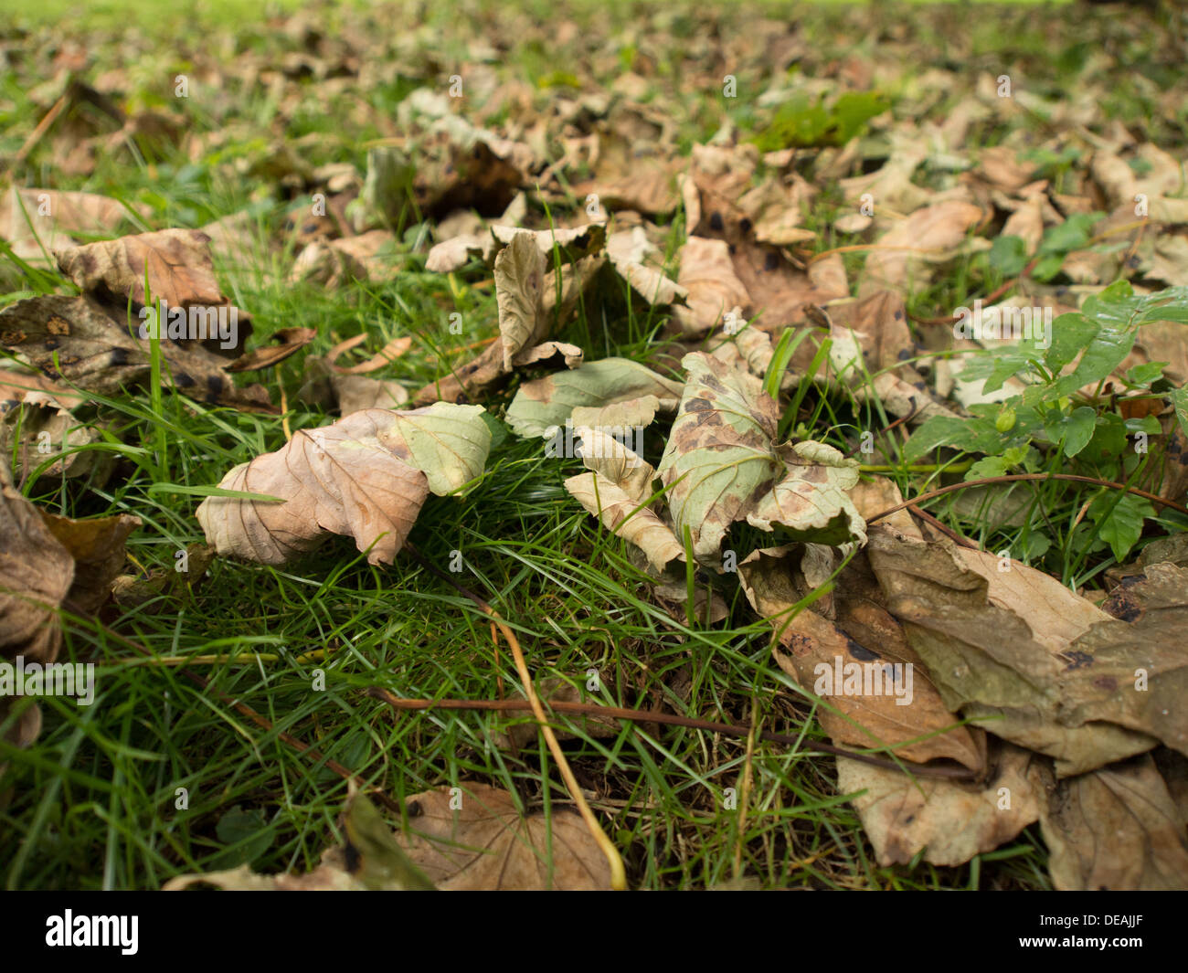 Signs of autumn hi-res stock photography and images - Alamy