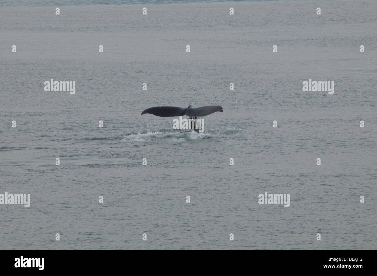 Alas strait hi-res stock photography and images - Alamy