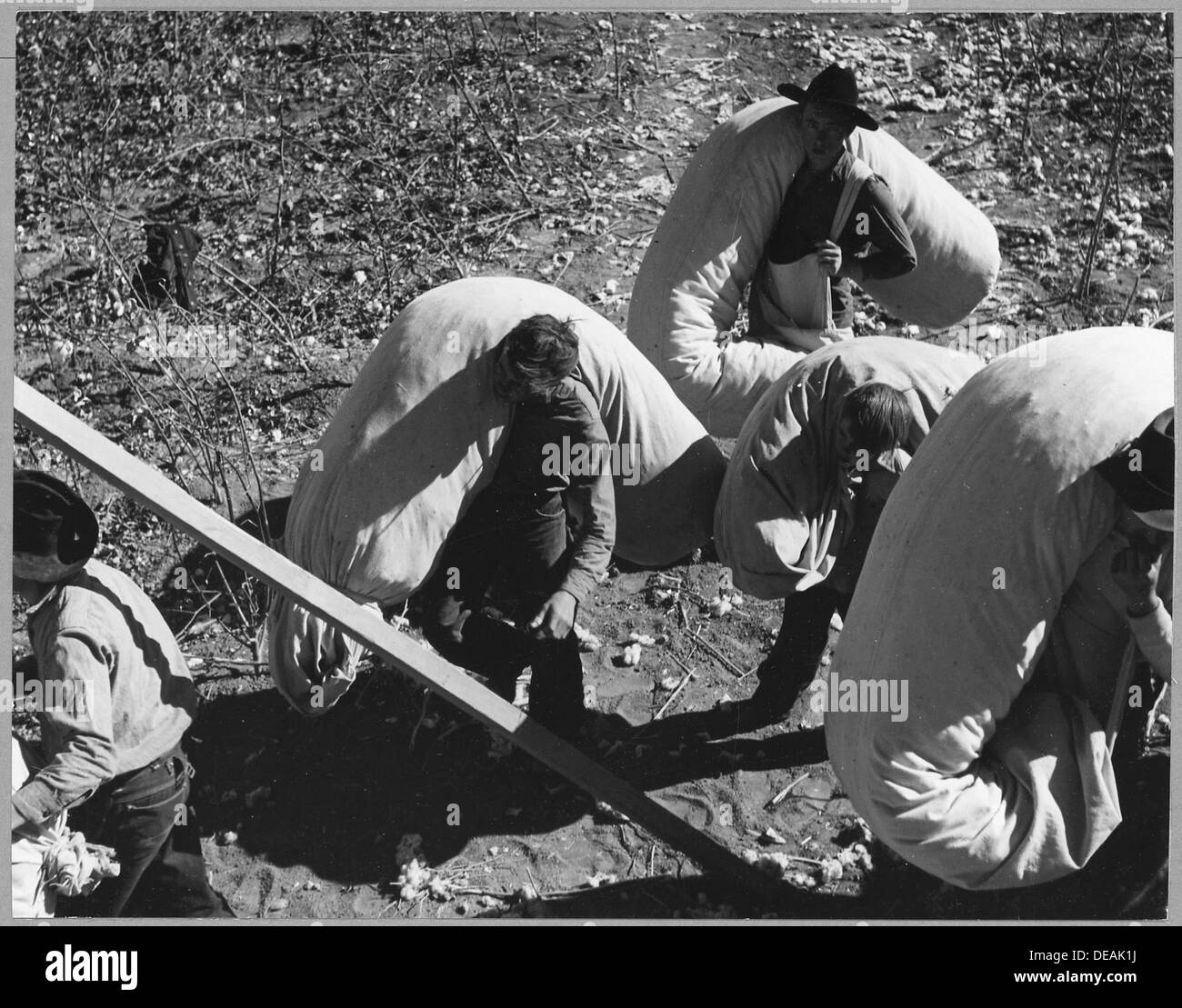 Laboring together hi-res stock photography and images - Alamy