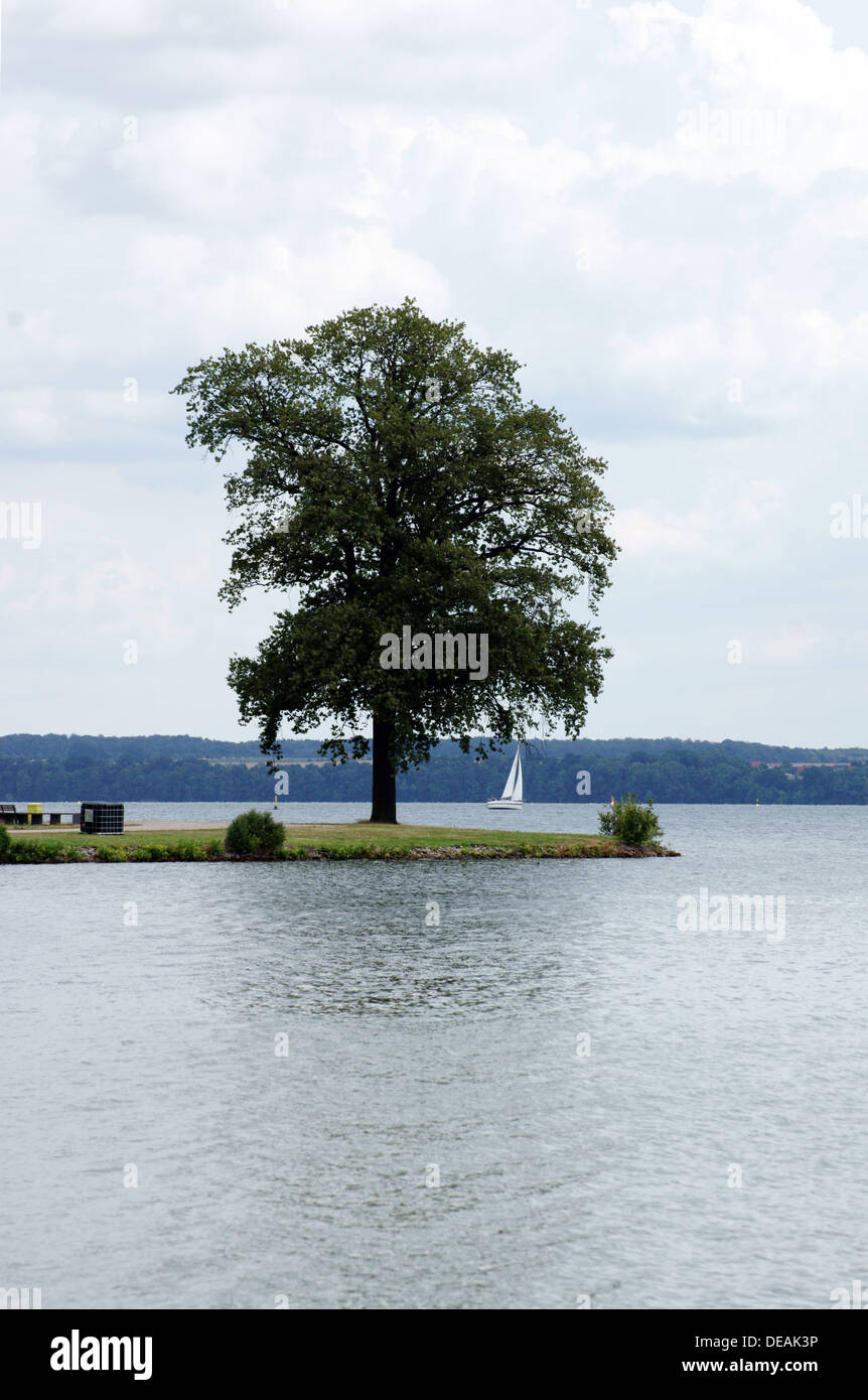 Tree and sailboat Stock Photo - Alamy