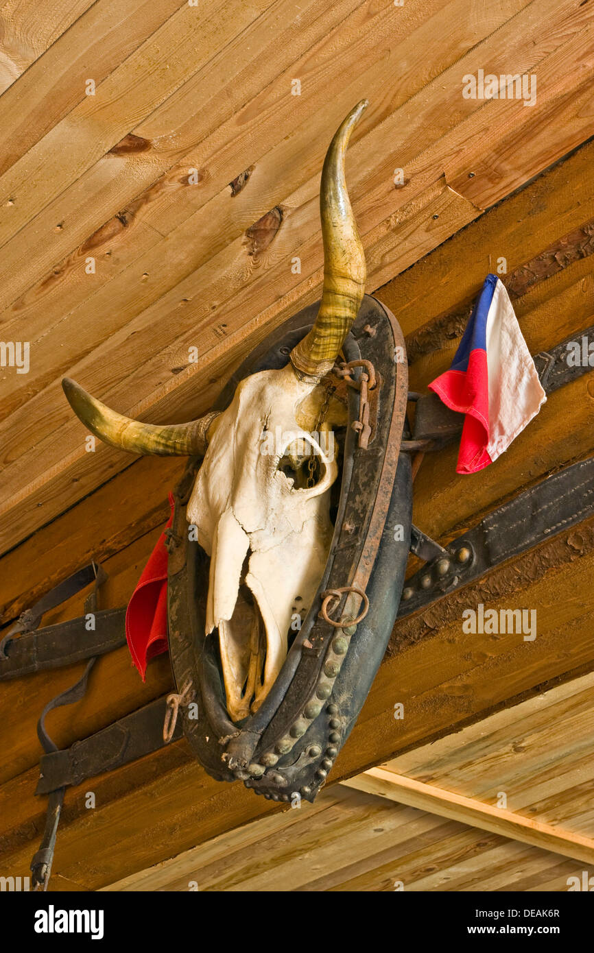 Hung cow skull hi-res stock photography and images - Alamy
