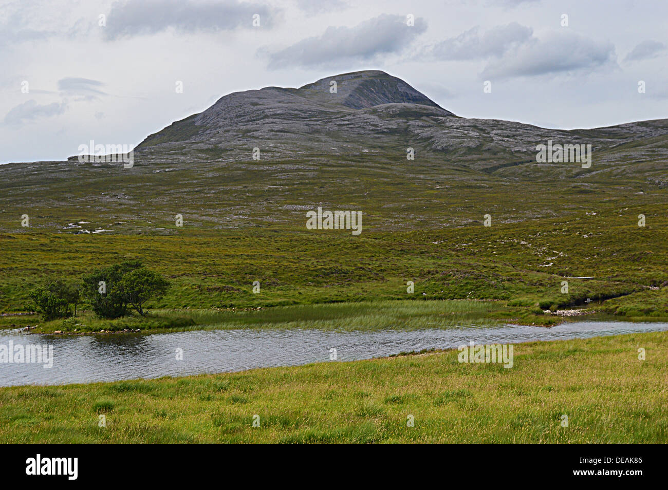 The Scottish Mountain Canisp (a Corbett) seen from the east above Loch ...