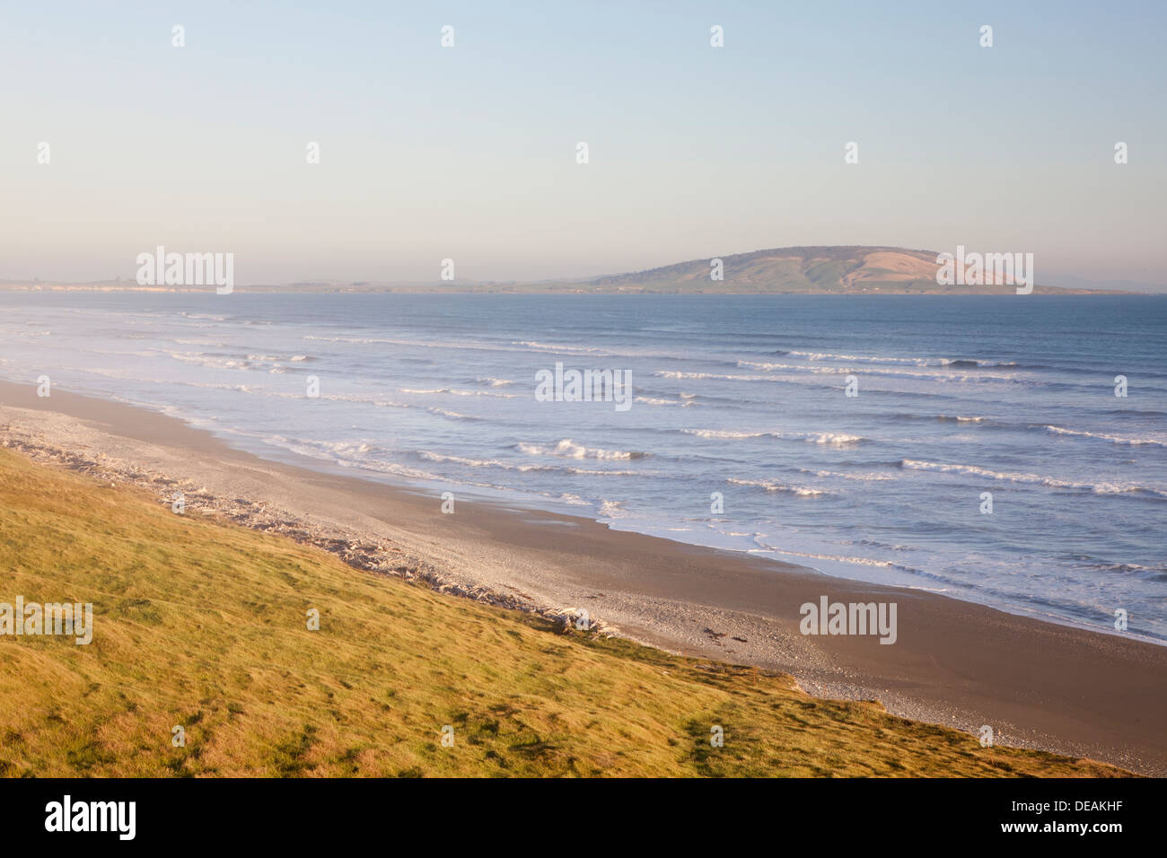 Codfish island new zealand hi-res stock photography and images - Alamy