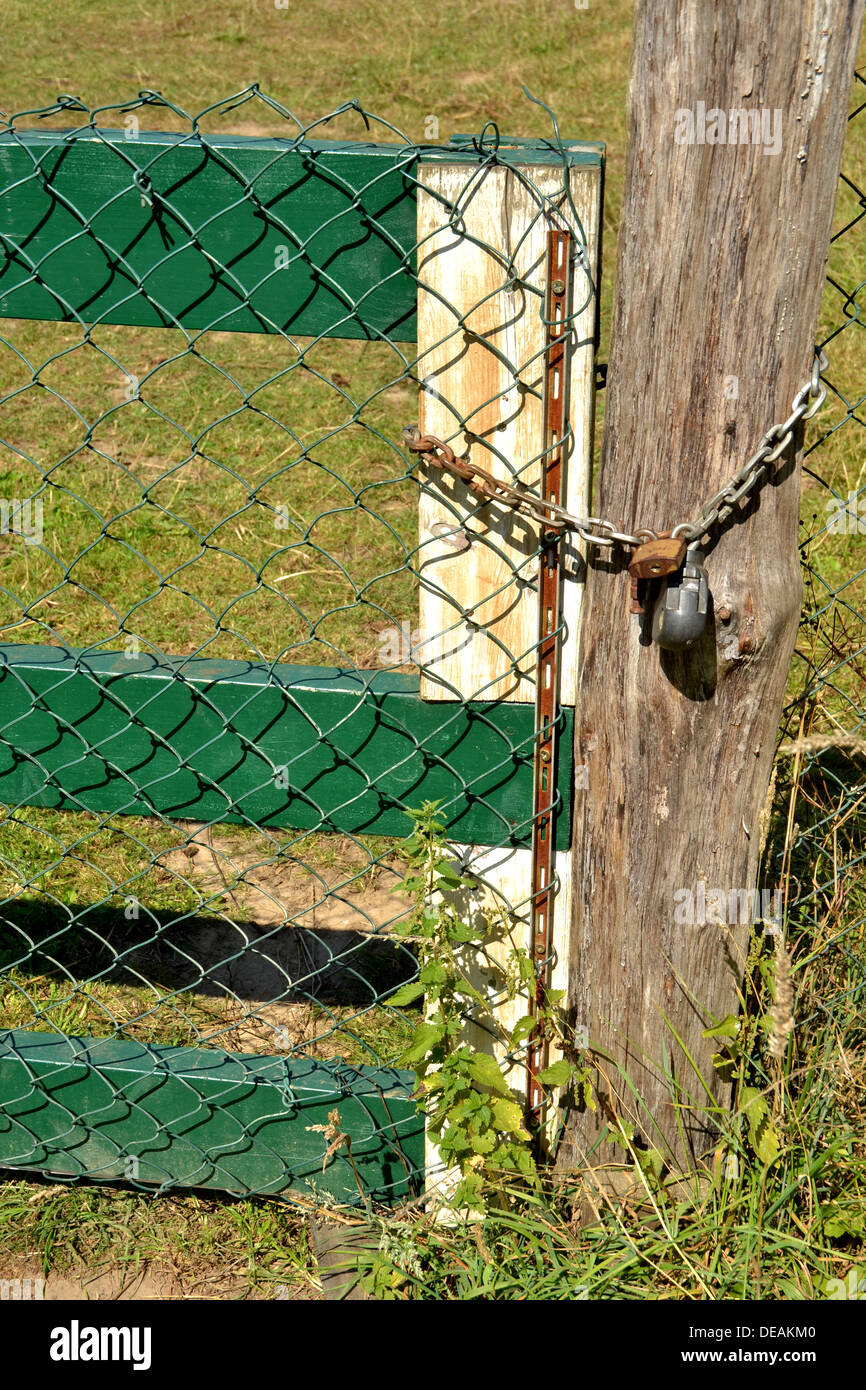 Pasture with wire and wood fence painted white and green. Photo taken ...