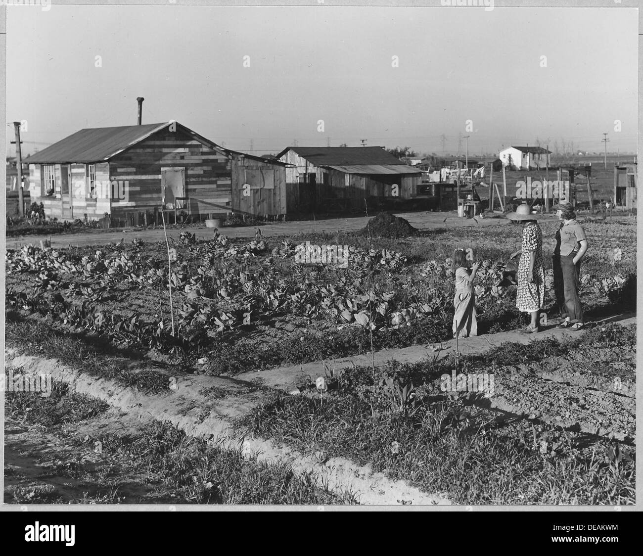 Family friendly garden Black and White Stock Photos & Images - Alamy