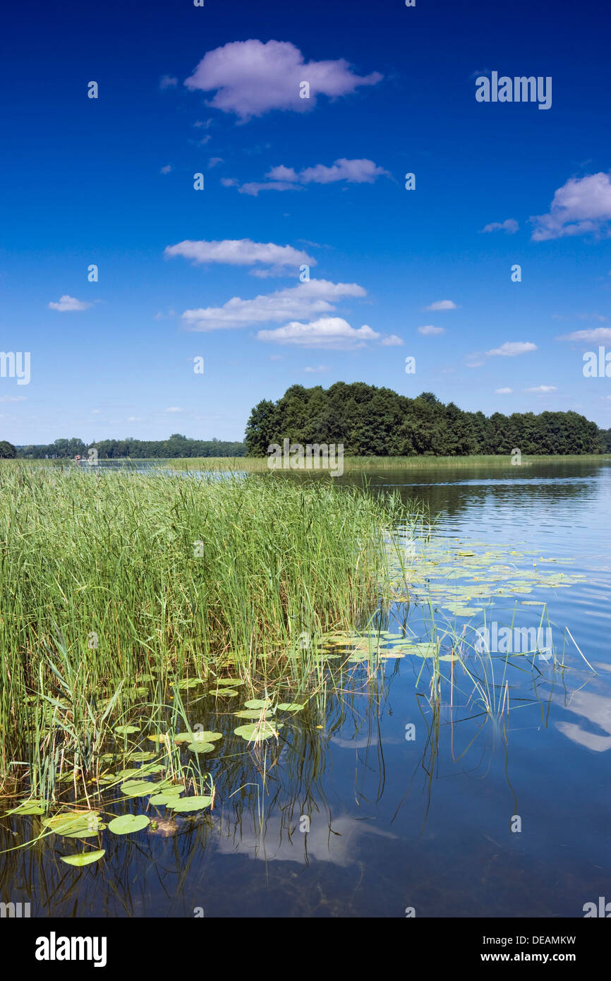 Wigry Lake, Wigry, Wigierski National Park, Poland, Europe Stock Photo ...