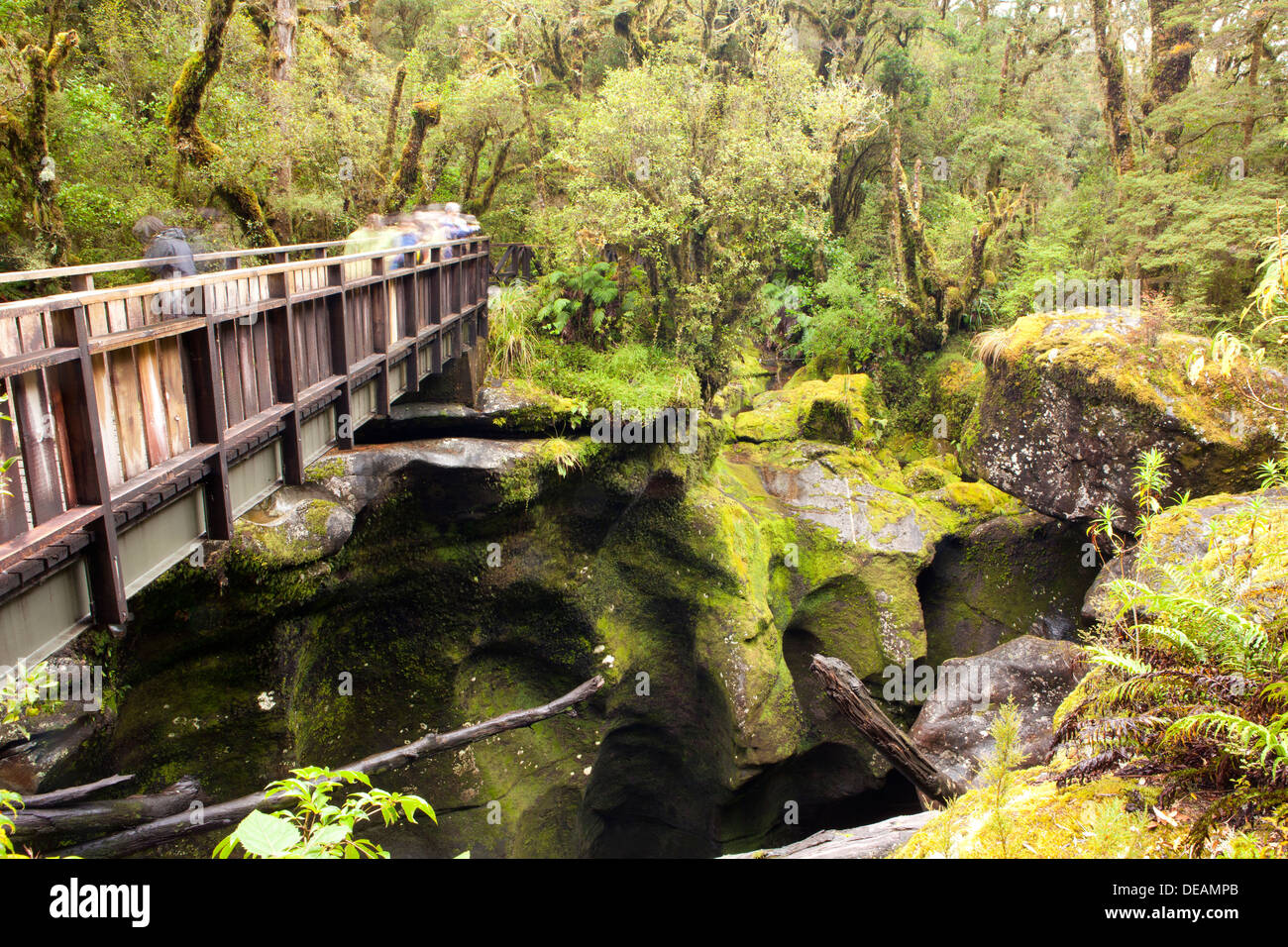 The Chasm, Fiordland National Park, South Island, New Zealand Stock ...