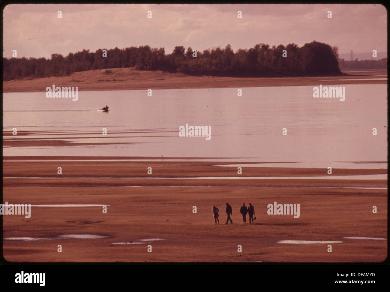 During a record low flow in the Columbia River, a beach at Rooster Rock ...