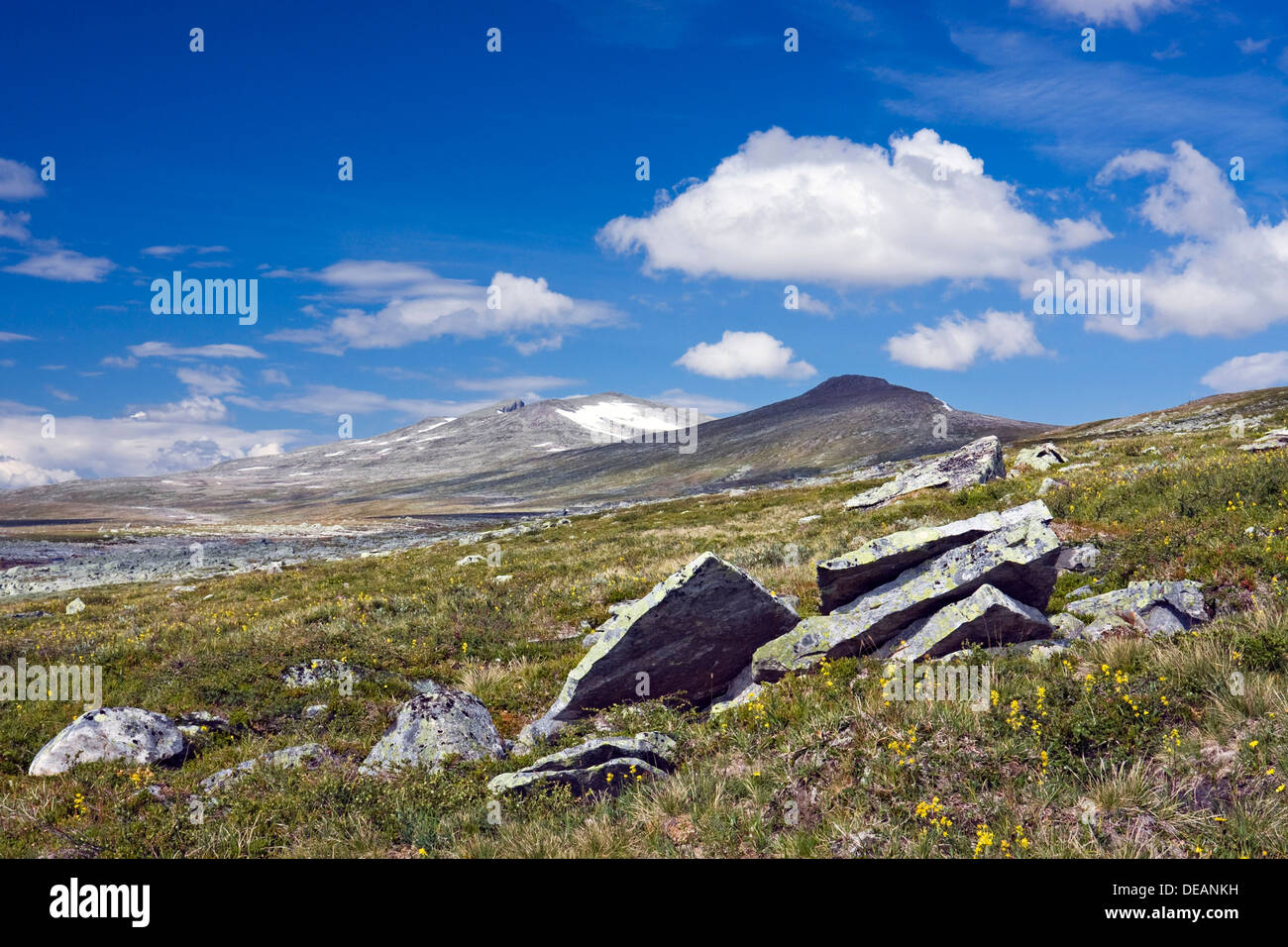 Saltfjellet hi-res stock photography and images - Alamy